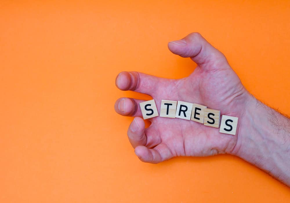 Vad är stress – och hur hanterar du den i vardagen? - Nordstar